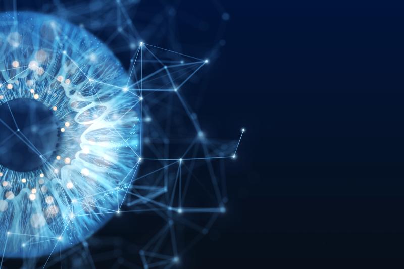 AXIS Scene Metadata | Axis Communications